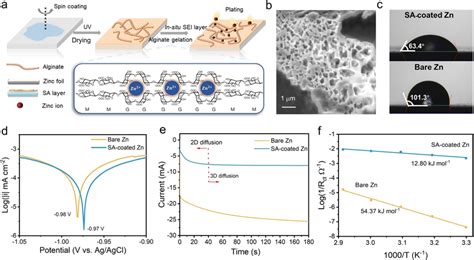 Preparation And Characterization Of The In Situ Formed Anionic Sei