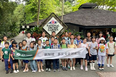 2025暑期夏令营 中小学生夏令营活动 专业报名平台乐淘