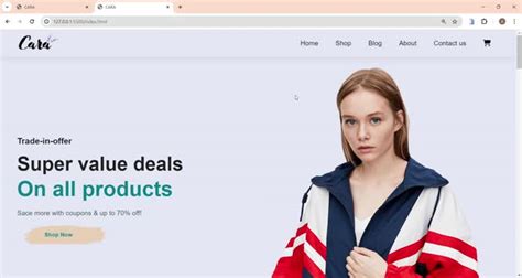 Webdevelopment Ecommerce Html Css Javascript Akash Mishra
