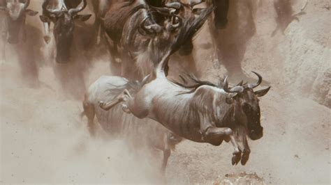 Gnu Boot Uncovers Non Free Code In Its Software Warns Other Projects Neowin