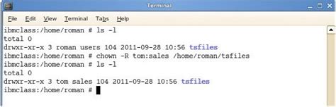 Permission Denied While Deleting Folder In Linux Alfintech Computer