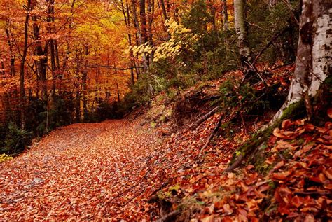 10 Paisajes Para Disfrutar Del Otoño Sin Salir De España Fotos