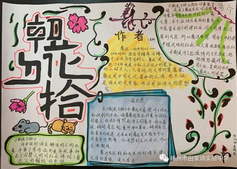 巧手绘经典 妙笔书感悟—— 五个一百工程”系列活动之《朝花夕拾》手抄报比赛 搜狐大视野 搜狐新闻
