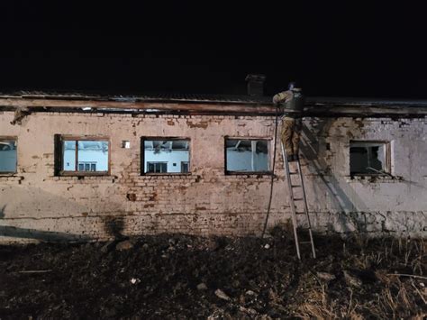 Травмувалися кілька десятків корів на Черкащині знищили 30 БпЛА Читайте на Ukr Net