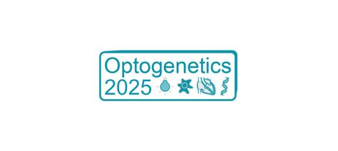 Optogenetics 2025 Mbexc