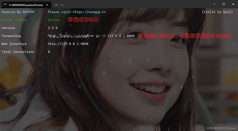 使用内网穿透解决支付宝回调地址在公网问题本地环境支付回调内网穿透 Csdn博客