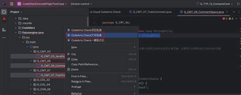 Codearts Check插件使用指南（intellij Idea版本）代码检查 Codearts Check华为云
