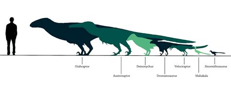 Deinonychus Vs Utahraptor