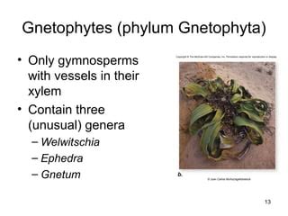 Chapter 26 Lecture Presentation Ppt