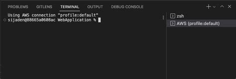 feat auth support terminal profiles and credential injection by jadensimon · pull request