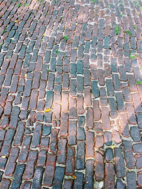 immutable database schema treehousetim christian human technologist