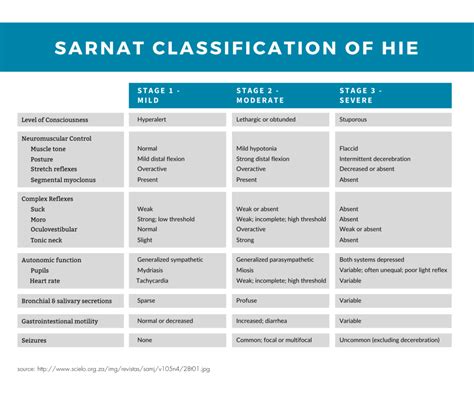 What Is Hie Hope For Hie Hypoxic Ischemic Encephalopathy