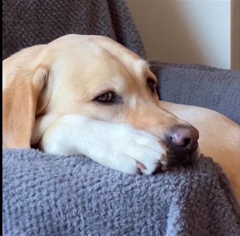 [video] Ray Diffley On Linkedin Giving Season Thought…