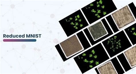 plant semantic segmentation dataset high resolution images
