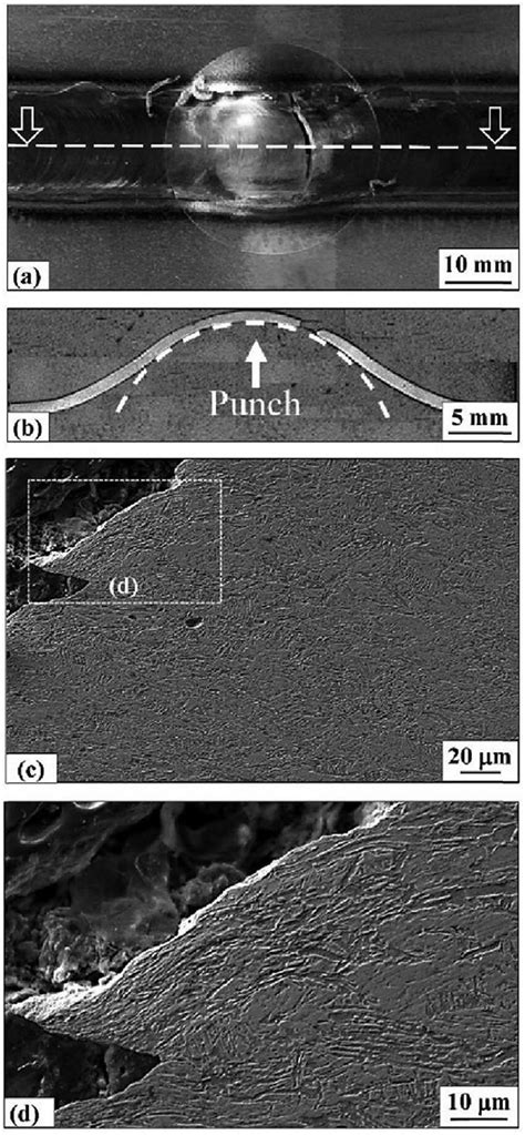 A Top Macro View B Cross Sectional Macro View And C And D Download Scientific Diagram