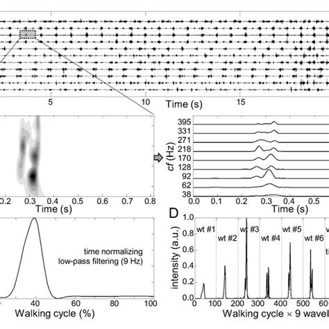 Representative Individual Example Of Surface Emg Signals Processing In Download Scientific