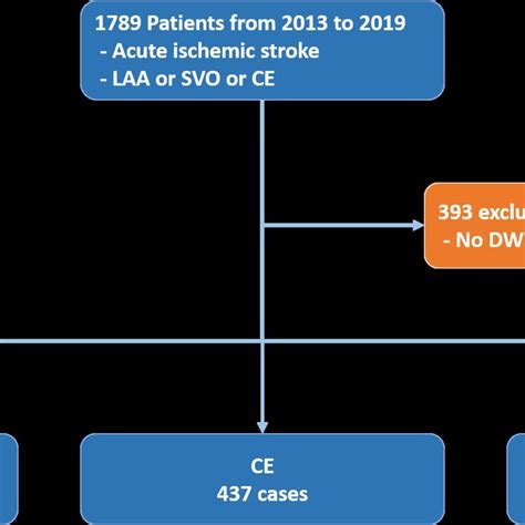 Our Network Architecture For Stroke Subtype Classification To Guide Download Scientific