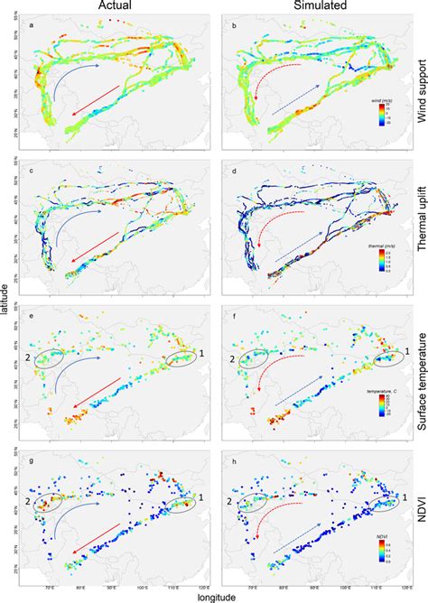 Actual Migration Left And Simulated Reverse” Migration Path Right