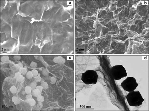 SEM Images Of A GO B N RGO And C Cu O N RGO And D TEM Image Download Scientific