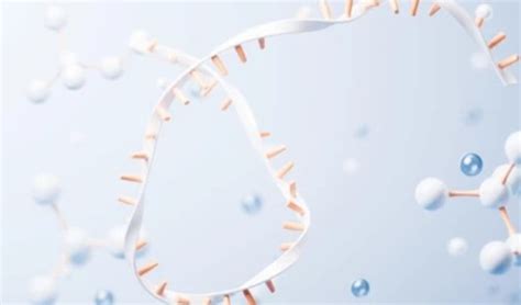 Transcriptomics And Transcriptome Rna Boc Sciences