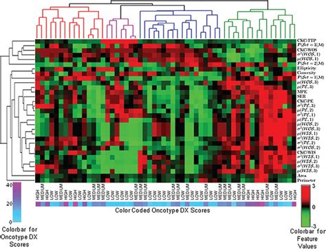Color Heatmap With Columns Representing Tumors And Rows Representing Download Scientific