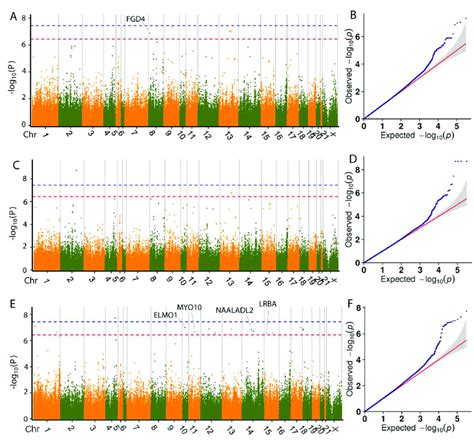 Manhattan Plots And Q Q Plots Of The Glm Based Gwas For Bodyweight At