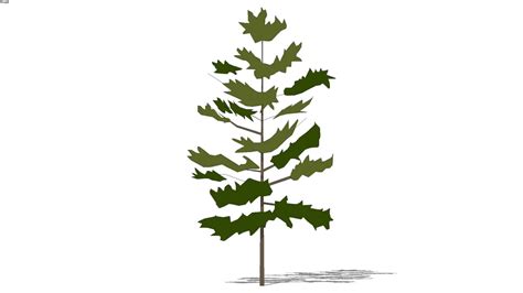 2d schematic sparse tree 30 3d warehouse