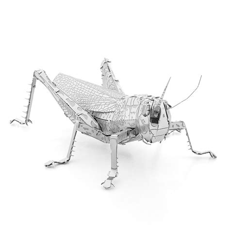 Mind Games 3d Laser Cut Grasshopper Model