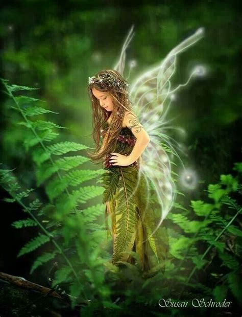 Fern Fairy Fairy Magic Fairy Angel Fairy Dust Fairy Tales Elfen