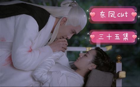 【东凤】三生三世枕上书 东华凤九cut 第三十五集哔哩哔哩bilibili