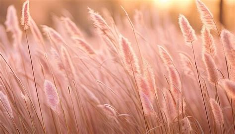 Pink Grass At Sunrise In The Style Of Whimsical Weavings Premium Ai