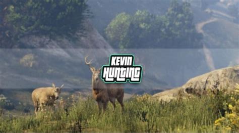 Qbcore Hunting Script Tebex