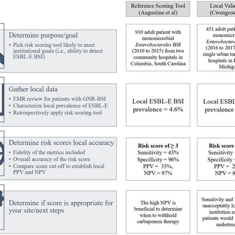 Steps And Considerations To Locally Validate An Existing Scoring Tool
