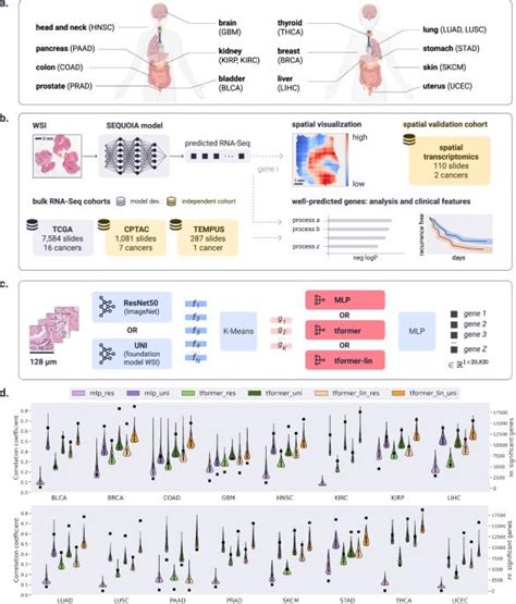 Dr E Shyam P Reddy On Linkedin Digital Profiling Of Gene Expression