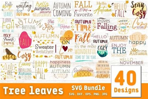 Tree Leaves SVG Bundle Graphic By CandyArtStudio Creative Fabrica