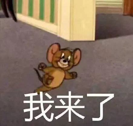 表情包丨起初我们揣着糊涂装明白 后来我们揣着明白装糊涂 凤凰网
