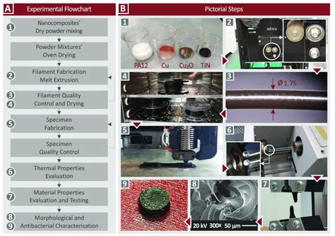 Workflow Of The Current Study Download Scientific Diagram