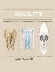 Copy Of 14 Skeletal System Pptx Pdf THE SKELETAL SYSTEM Angelo Paolo