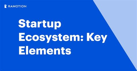 Startup Ecosystem Key Elements And Strategies Ramotion Branding Agency