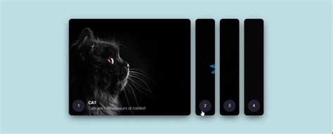 Video Dhivya S R On Linkedin Webdevelopment Html Css