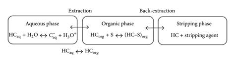 Schematic Representation Of The Reactive Extraction Process Extraction