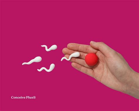 How Much Does Artificial Insemination Cost Conceive Plus® Conceive Plus® Online Store