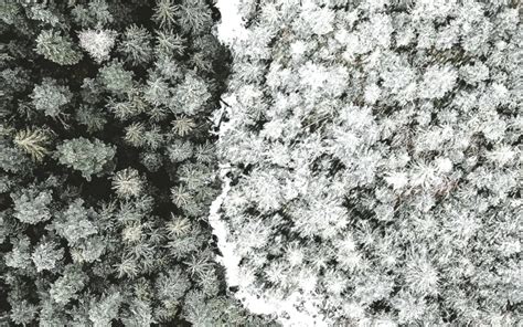 The Implications Of Information Asymmetry And Disclosures For Security