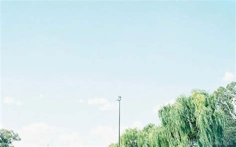 Java导出表格根据节假日日期渲染列节假日数据导出 Csdn博客 Java导出表格根据节假日日期渲染列节假日数据导出 Csdn博客