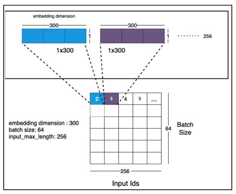 Bert And Distilbert Models For Nlp By Priyanka Kumari Medium