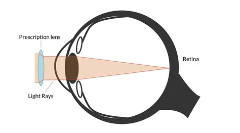 How Do Glasses Work Smartbuyglasses Nz