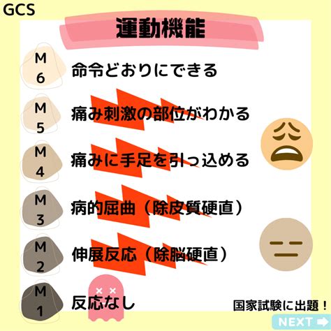 【国試頻出】意識レベルについて 〜jcsとgcsの評価方法〜 ‣ 看護師国家試験対策｜オンライン個別指導｜サキのまなびや