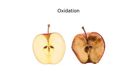 Exploring Science 8e Combustion Teaching Resources