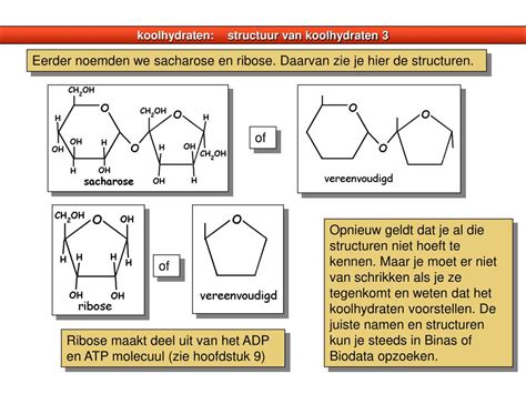 Ppt Koolhydraten Voorbeelden Van Koolhydraten Powerpoint