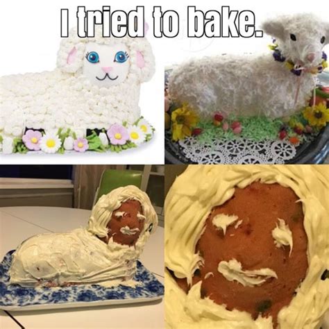 20 Perfect Expectations Vs Reality Memes